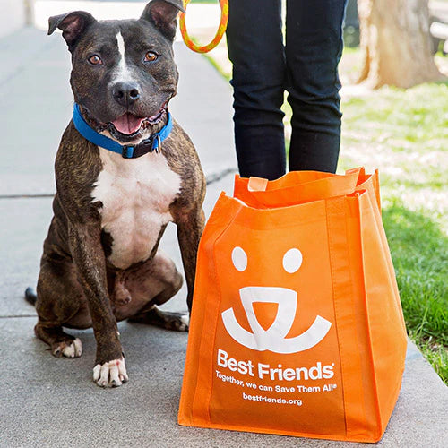 Gifts & Accessories – Best Friends Store