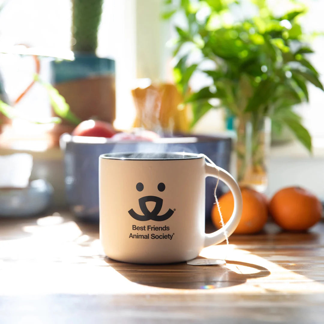 Drinkware – Best Friends Store