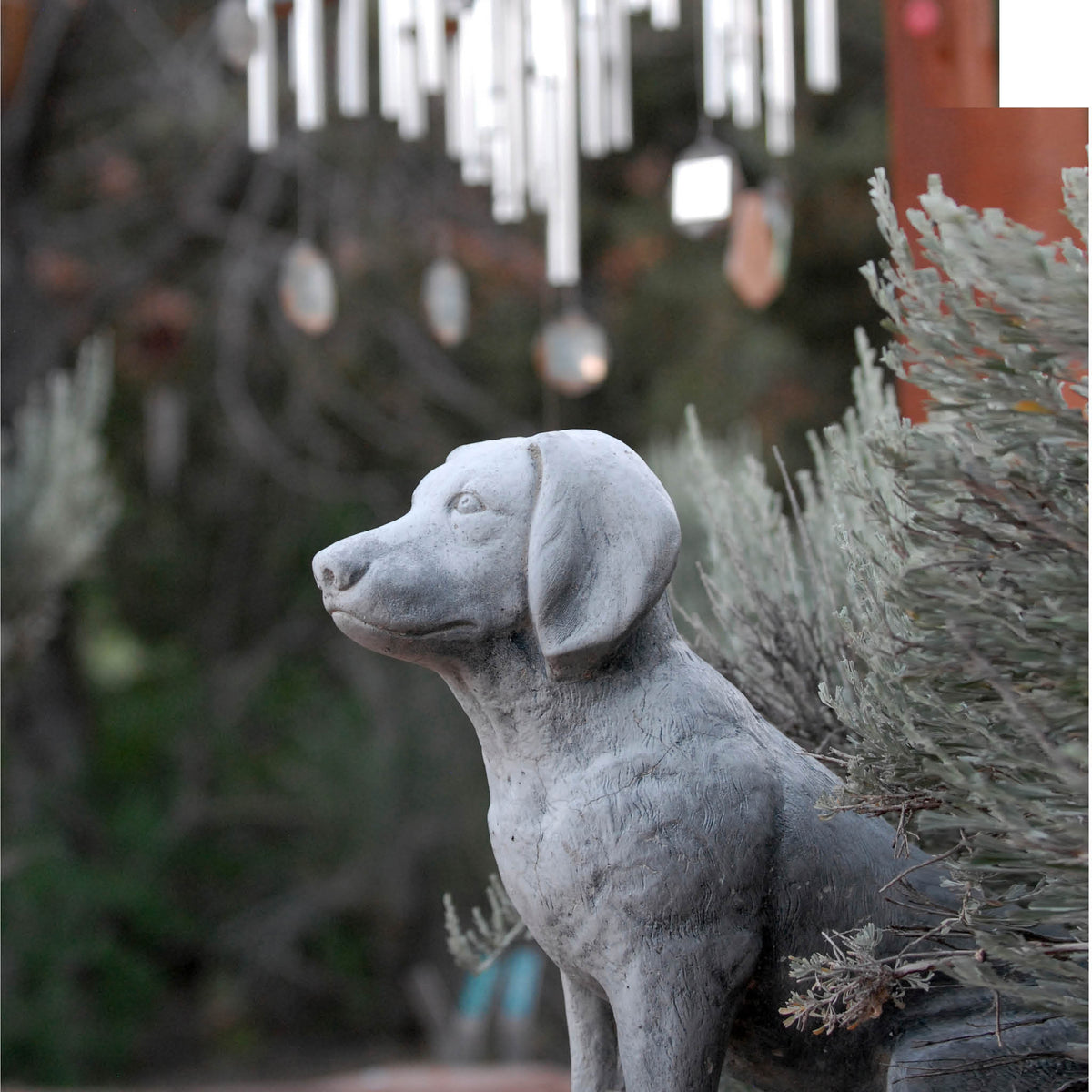 Angels Rest Enduring Care Package – Best Friends Store