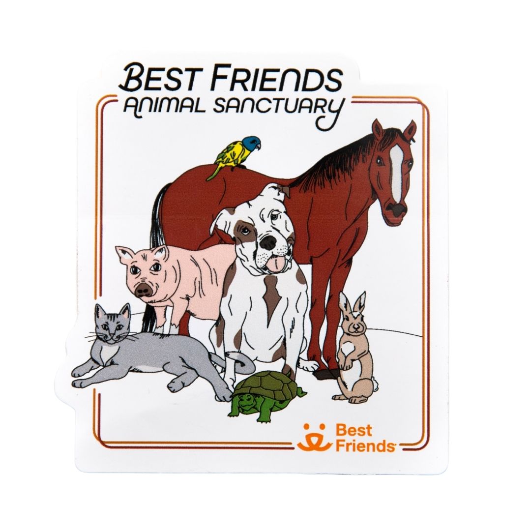 Sanctuary Smiles Sticker – Best Friends Store