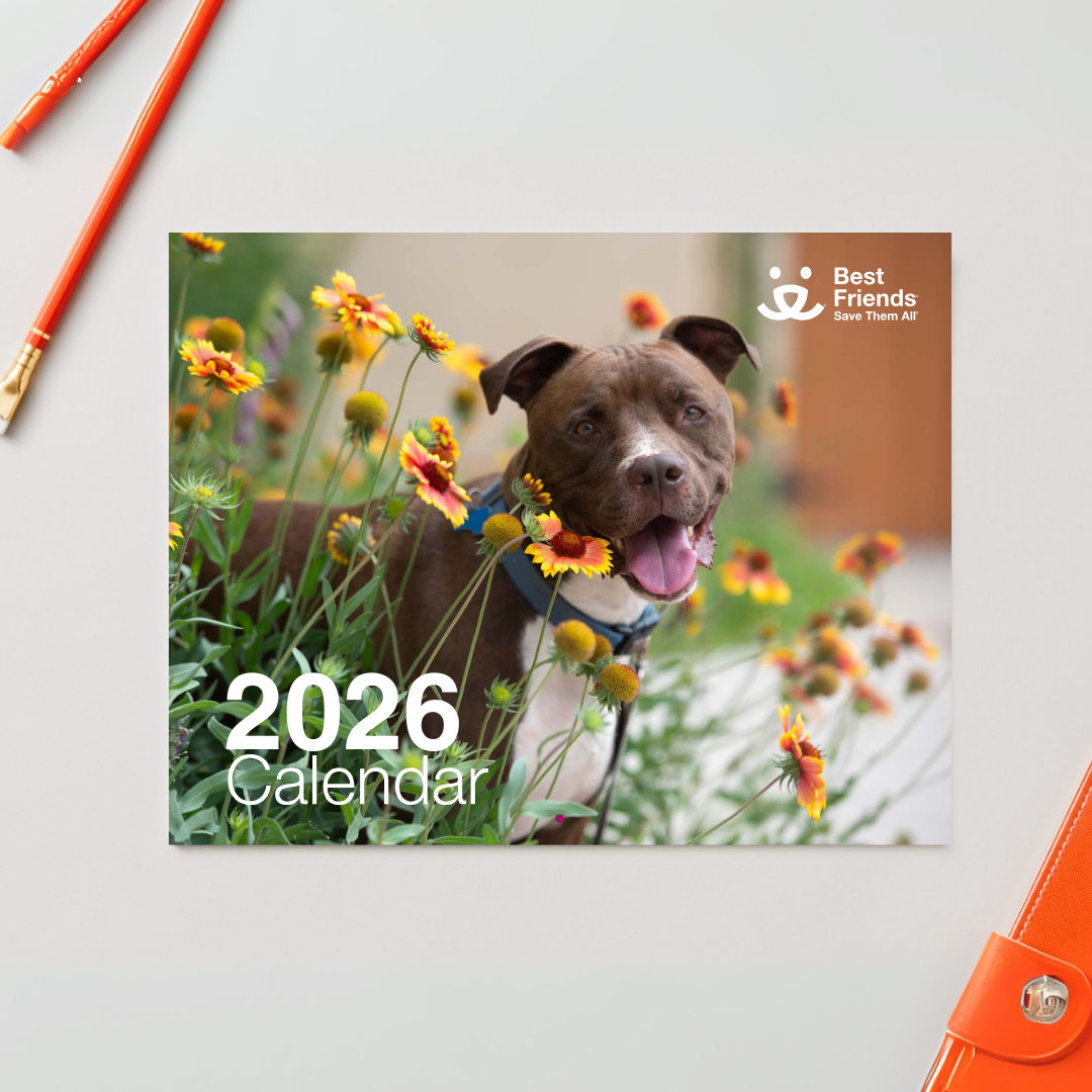 2026 Best Friends Membership & Calendar – Best Friends Store