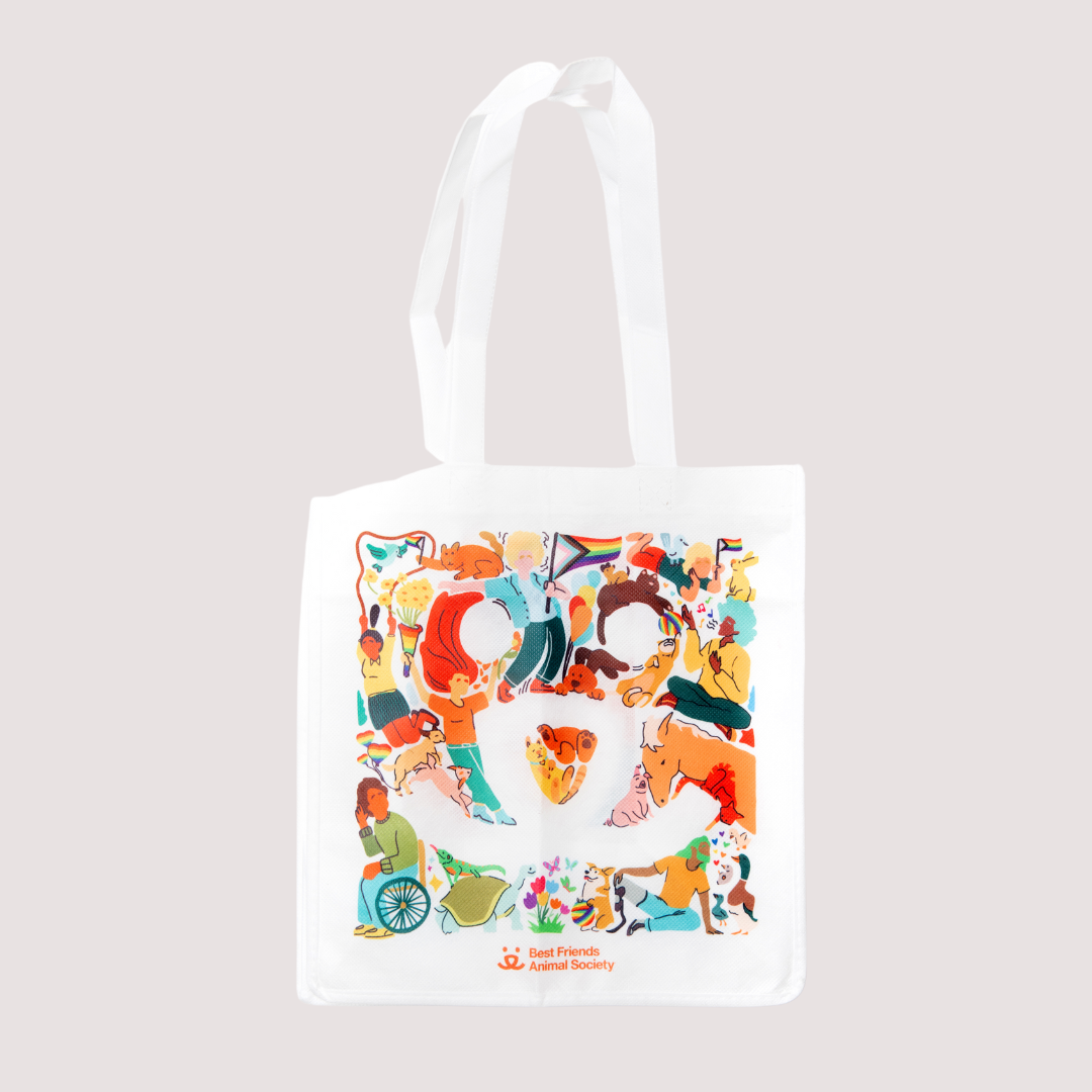 Best Friends 2025 Pride Tote – Best Friends Store
