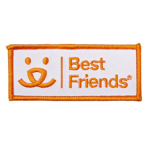 Best Friends Iron On Patch – Best Friends Store
